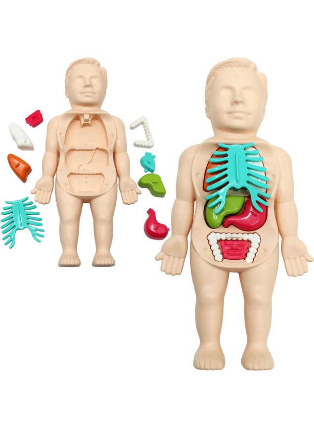 Kit Brinquedo Médico Infantil Anatomia Do Corpo Boneco 25pçs